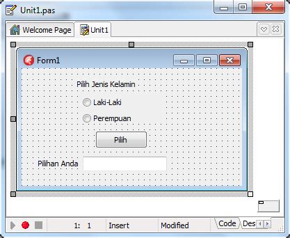 Cara Mengambil Inputan Radio Button Di Delphi Tutorial Delphi