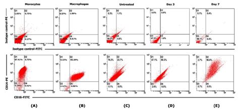 Dot Plot Of Representative Flow Cytometry Profiles On Gated Monocytes Download Scientific