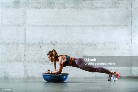 포니 테일을하고 Bosu 공에 기대어 스포츠웨어에 젊은 근육 백인 스포티 한 갈색 머리의 측면보기 건강한 라이프 스타일 개념 운동에 대한 스톡 사진 및 기타 이미지 Istock
