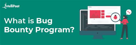 What Is Bug Bounty Program It S Working And Benefits