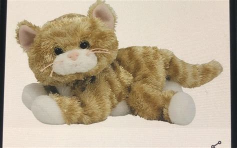 Before And After 16 Years R Plushies