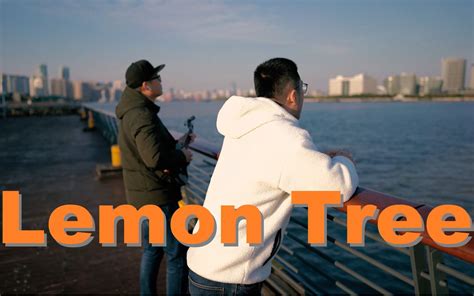 「lemon Tree」男声 尤克里里伴奏 “everything Will Happen 哔哩哔哩 Bilibili