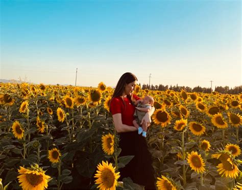 r through python eyes part 3 visualizing data with ggplot2 vs