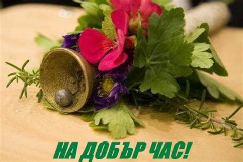 На добър час Четвърто Основно Училище Иван Вазов