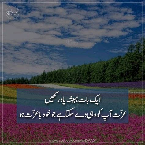 saqib rajput posted on linkedin