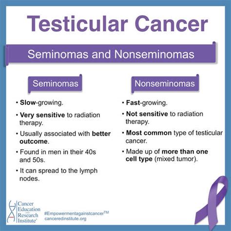 Testicular Cancer Cancer Education And Research Institute