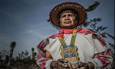 Chamanismo Andino Y Sabiduría Ancestral Alberto Calo