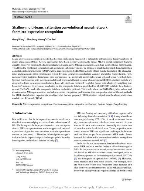 Shallow Multi Branch Attention Convolutional Neural Network For Micro Expression Recognition