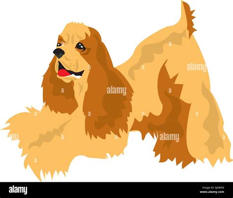 Cute Cocker Spaniel Pet Stock Vector Images Alamy