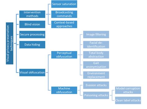 A Taxonomy Of Visual Privacy Preservation Techniques For Aal Adapted Download Scientific