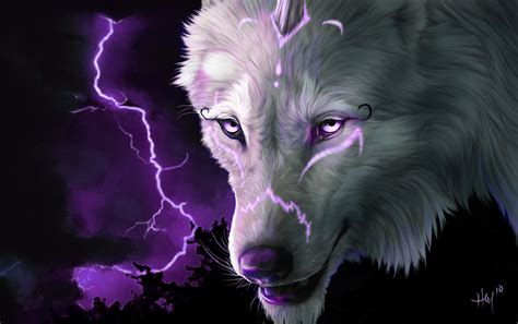 Magical Wolf Wallpapers Wallpaper Cave