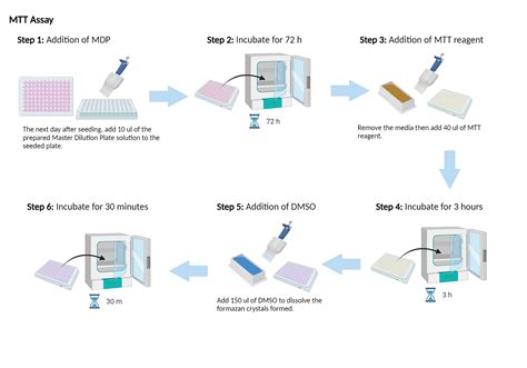 Mtt Assay Pt 1 Biorender Science Templates