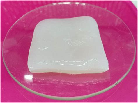 Bacterial Cellulose Nata De Coco Fermented For 4 Days Download Scientific Diagram