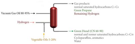 Schematic Representation Of A Standalone Biomass Hydroprocessing Plant Download Scientific