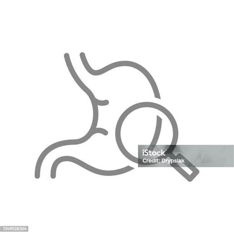 돋보기 라인 아이콘이 있는 위장 장기 연구 질병 예방 기호 건강 진단에 대한 스톡 벡터 아트 및 기타 이미지 건강 진단 건강관리와 의술 건강한 생활방식 Istock