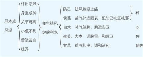 防己黄芪汤 中医济世珍方丛书 医学