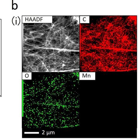 A Manganese Content In Refined Cellulose Nanofibers Rcnfs And Download Scientific Diagram