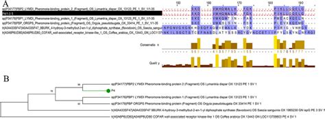 Protein Multiple Alignments Of P4 With Other Similar Sequences Download Scientific Diagram
