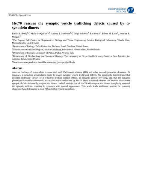 Pdf Hsc70 Rescues The Synaptic Vesicle Trafficking Defects Caused By