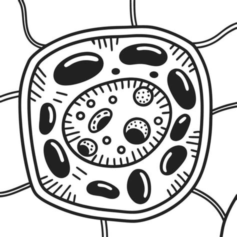 Celular Dibujo Vectores Iconos Gráficos Y Fondos Para Descargar Gratis