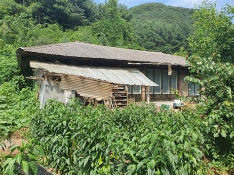 단양부동산단양군적성면시골농가주택시골집매물 소개합니다 네이버 블로그