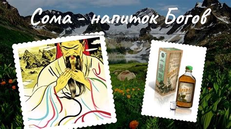 Сома - напиток Богов - YouTube