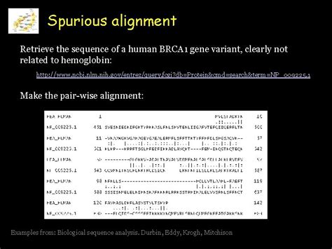 Bi 420 Introduction To Bioinformatics Sequence Alignment Gabor