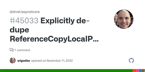 explicitly de dupe referencecopylocalpaths in microsoft aspnetcore app runtime csproj · issue