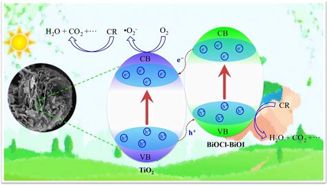 Tio2biocl‐bioi Heterostructure Photocatalyst For Efficient Removal Of Congo Red Dye Under