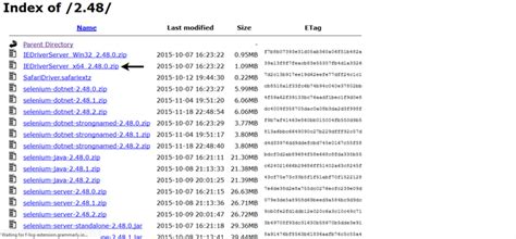Webdriver Ie上运行测试 立地货