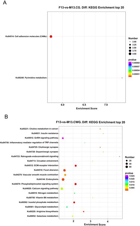 Temporal Variation In DNA Methylation During Gonadal Development In A Reptile With Temperature