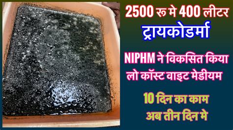 अब मिलेगा सबसे सस्ता और तुरंत ट्रायकोडर्मा।white Medium For Mass Production Of Trichoderma Youtube