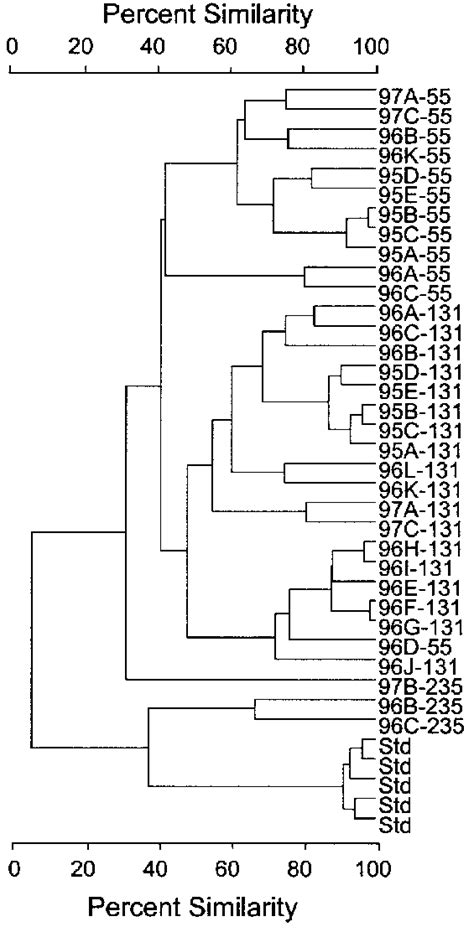 Dendrogram Showing Similarities Of Dgge Banding Patterns For Arctic
