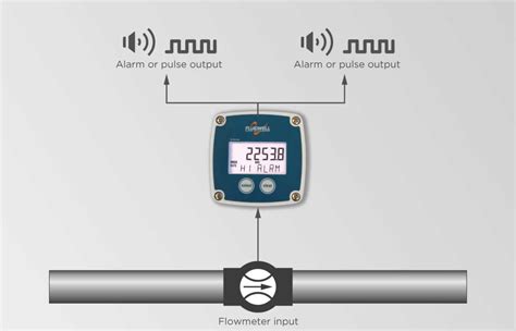 Fluidwell B Alert Flow Rate Monitor Totalizer Duranmatic Industrial