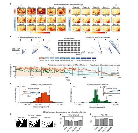 Plug And Play Brain Prosthesis Debuts In Paralyzed Person Science