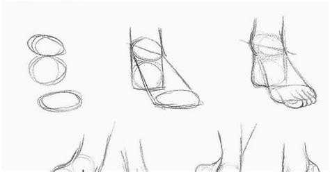 Anatomy References Album On Imgur