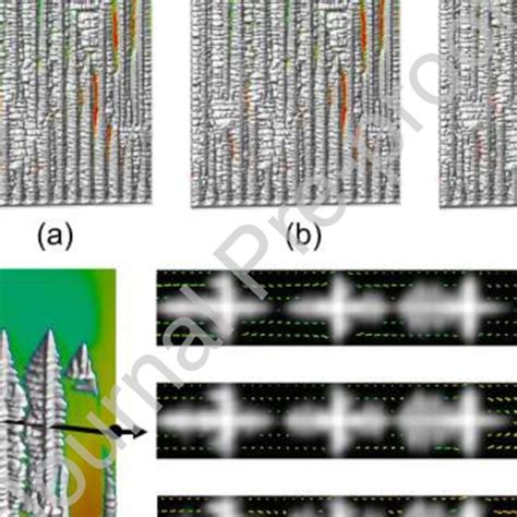 Pdf Solute Enrichment Induced Dendritic Fragmentation In Directional Solidification Of Nickel