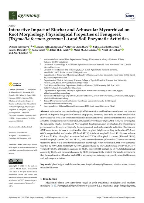 Pdf Interactive Impact Of Biochar And Arbuscular Mycorrhizal On Root Morphology Physiological