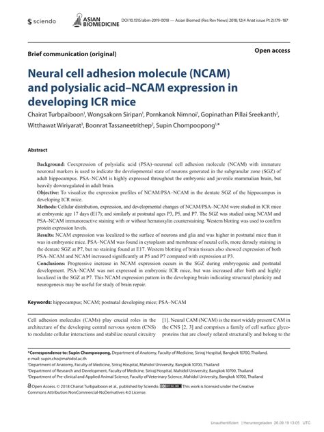 Pdf Neural Cell Adhesion Molecule Ncam And Polysialic Acidncam Expression In Developing Icr