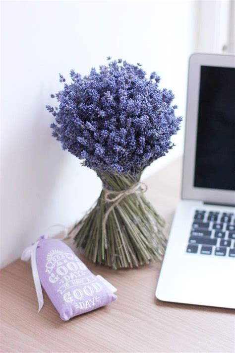 Натуральный букет лаванды для интерьера