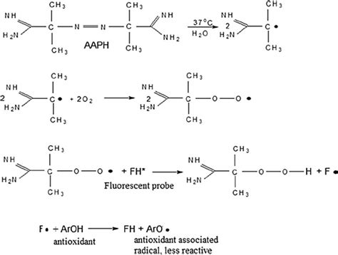 2 Orac Assay Measuring Principle Download Scientific Diagram