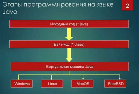Язык Java с чего начать изучение чтобы стать профи в It