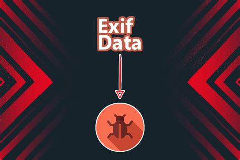 What Is Exif Data And How It Can Steal Your Data