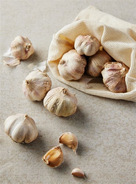 초록마을 나와 가장 가까운 유기농친환경 마켓