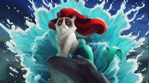 Grumpy Cat Hd Wallpapers Wallpaper Cave