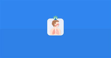 How The Lungs Work An Overview 2024
