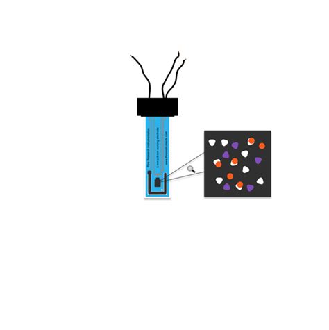 All Captsone Projects Lf Showcase Sp23