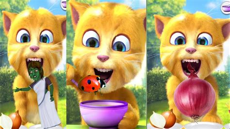 Talking Ginger Very Funny Cat Youtube