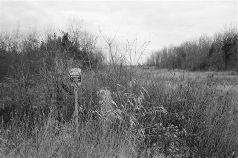 Common Ground By David Scriven — Carte Blanche Magazine