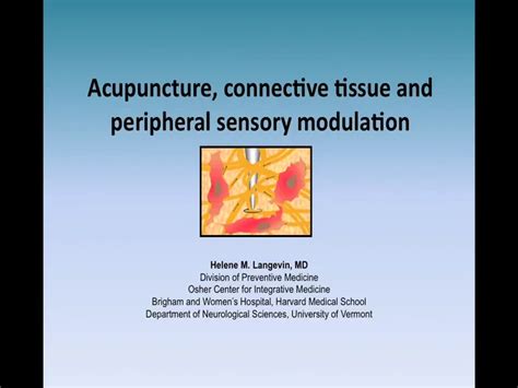 Aama2016 Andrea Kachuck Aama 2016 03 Plenary 3 On Vimeo